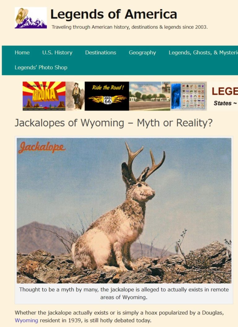 UMA「ジャッカロープ」の超基礎知識！ シカの角が生えたウサギはワイオミング州のご当地モンスター｜webムー 世界の謎と不思議のニュース＆考察コラム