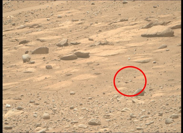 NASAの火星画像に写り込んだ「植物」や「魚の骨」に科学者も興奮！ ほか不思議ニュースまとめ／web MU HOT PRESS｜webムー 世界の謎と不思議のニュース＆考察コラム