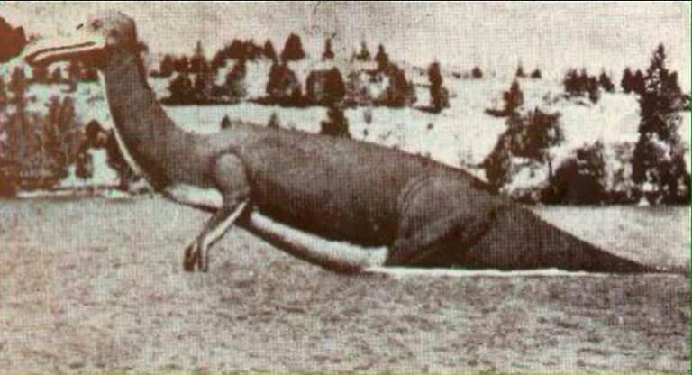 1976年「未確認動物UMA」という言葉の誕生／動物研究家・實吉達郎｜webムー 世界の謎と不思議のニュース＆考察コラム